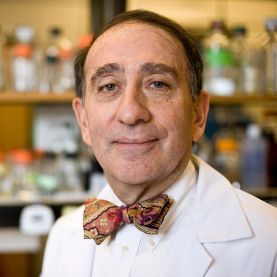 People - Levy CIMAR | The Stuart B. Levy Center for Integrated ...