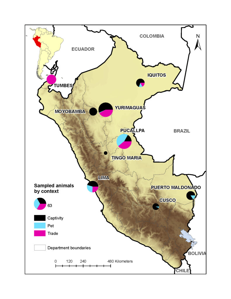 Diversity and prevalence of zoonotic infections at the animal-human ...